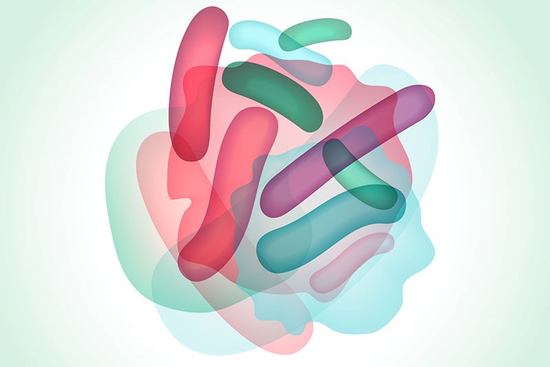 Tipos de candidíase: saiba como identificar