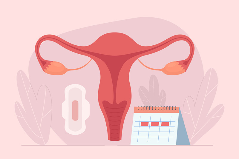 Ciclo menstrual irregular. Sintomas, causas e tratamentos